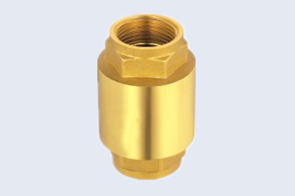 China Brass Spring Check Valve, Brass Check Valve Manufacturer, Brass ...